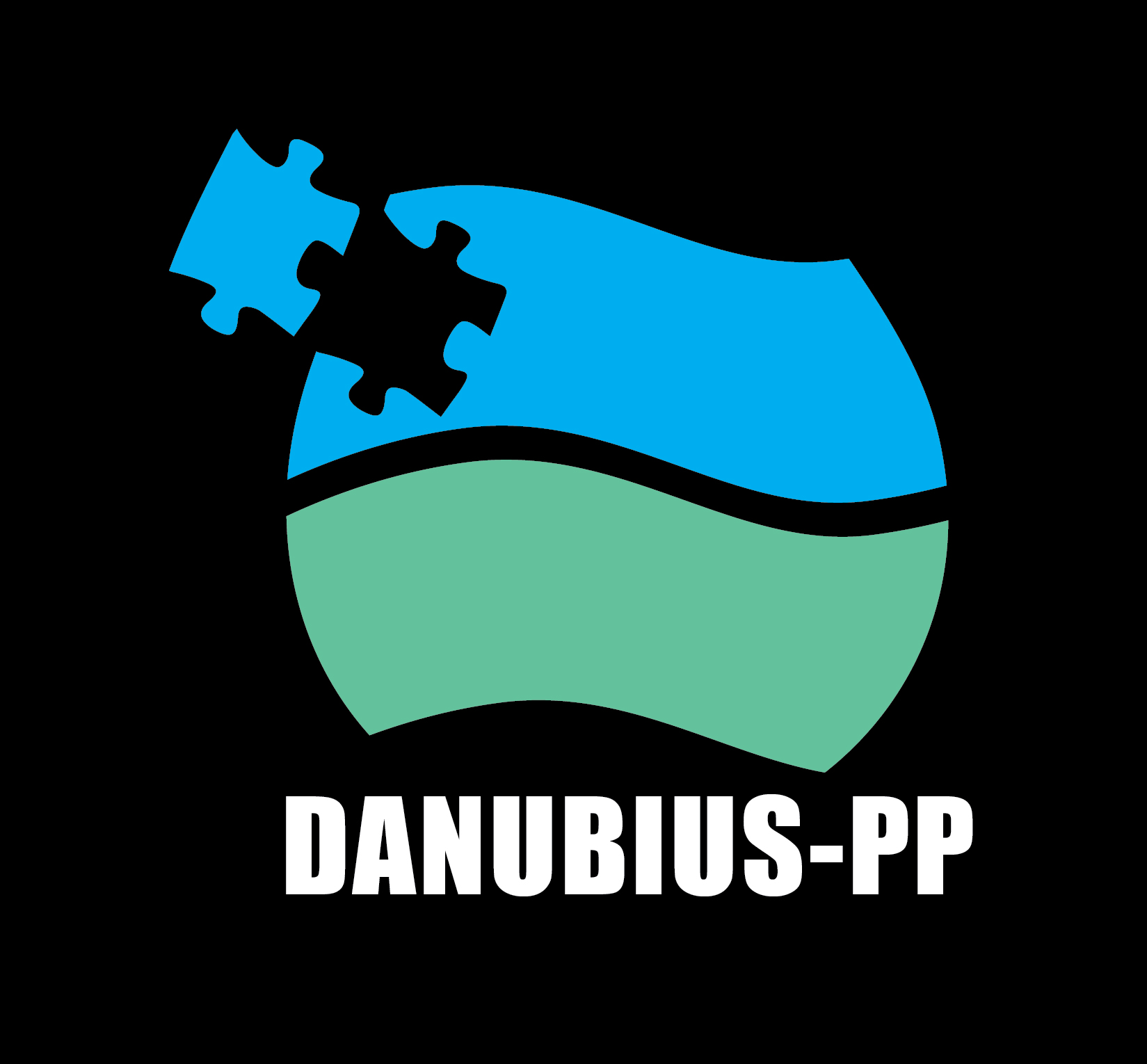 Communications Materials – DANUBIUS-PP